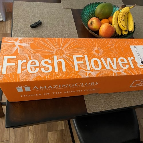 Flower of the Month Club | The World's Most Popular Flower Club from ...